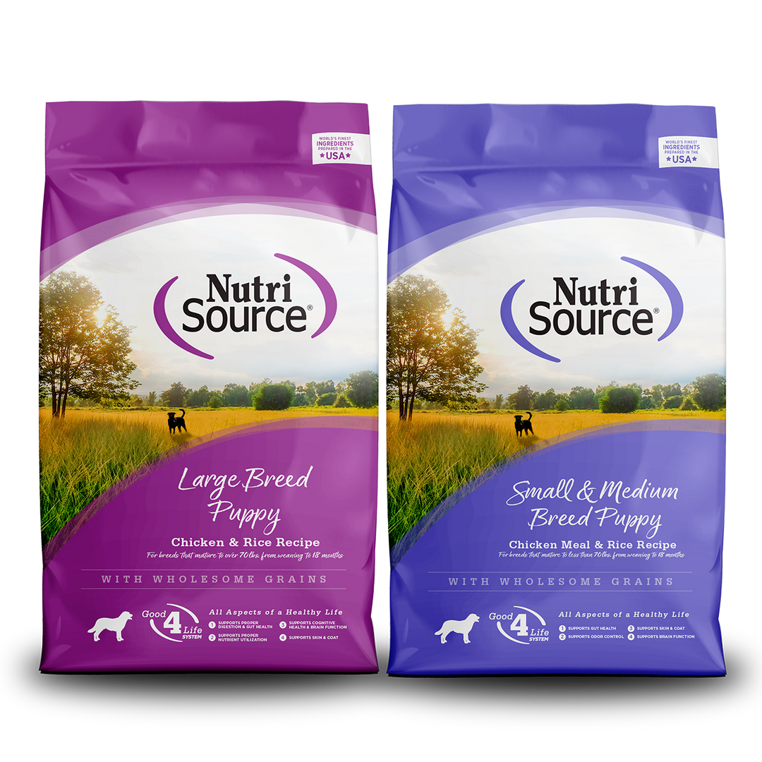 Puppy & Kitten Health Month – Brookside Barkery & Bath