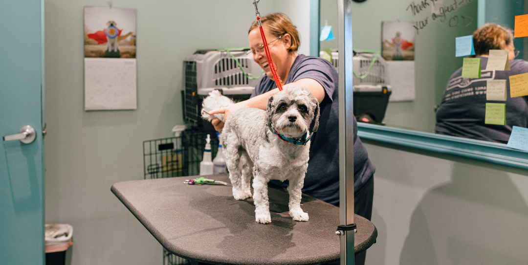 Brookside Barkery & Bath Online Store