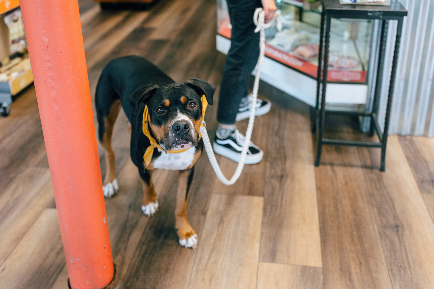 Brookside Barkery & Bath Online Store