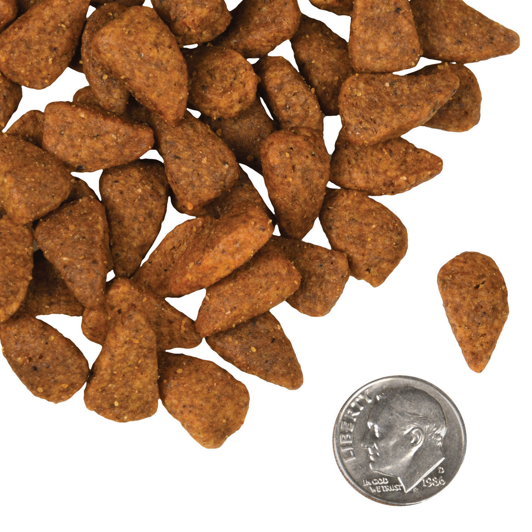 Fromm – Brookside Barkery & Bath